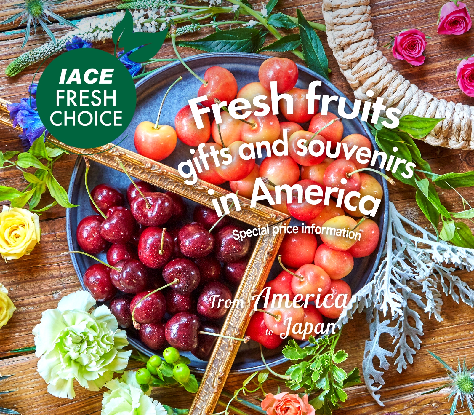 Fresh fruits gift and souvenirs in America.-IACE FRESH CHOICE