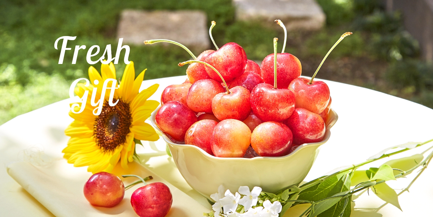 Fresh fruits gift and souvenirs in America.-IACE FRESH CHOICE